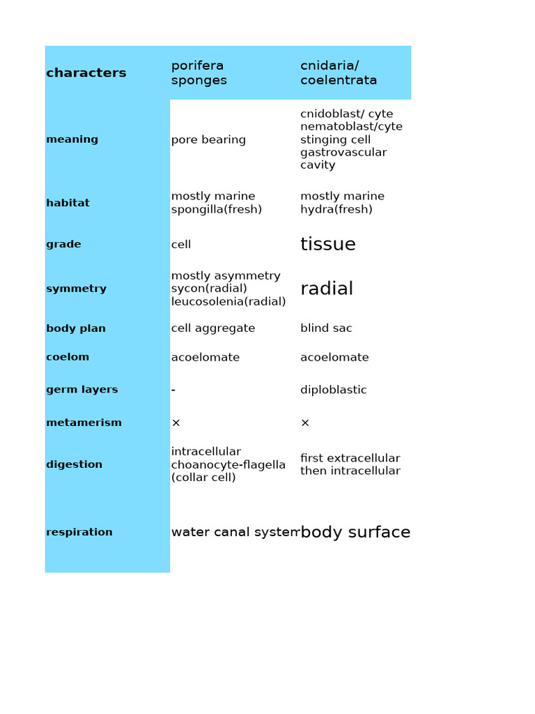 Invertebrate Animal Classification Overview | PDF | Zoology
