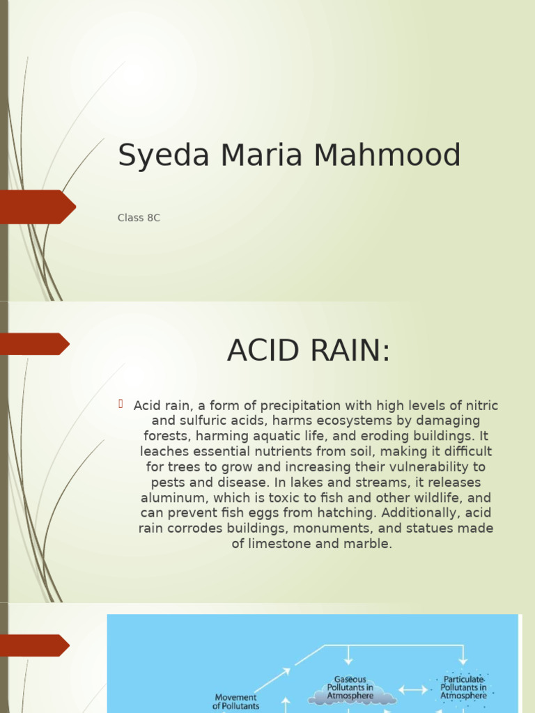 Syeda Maria Mahmood | PDF