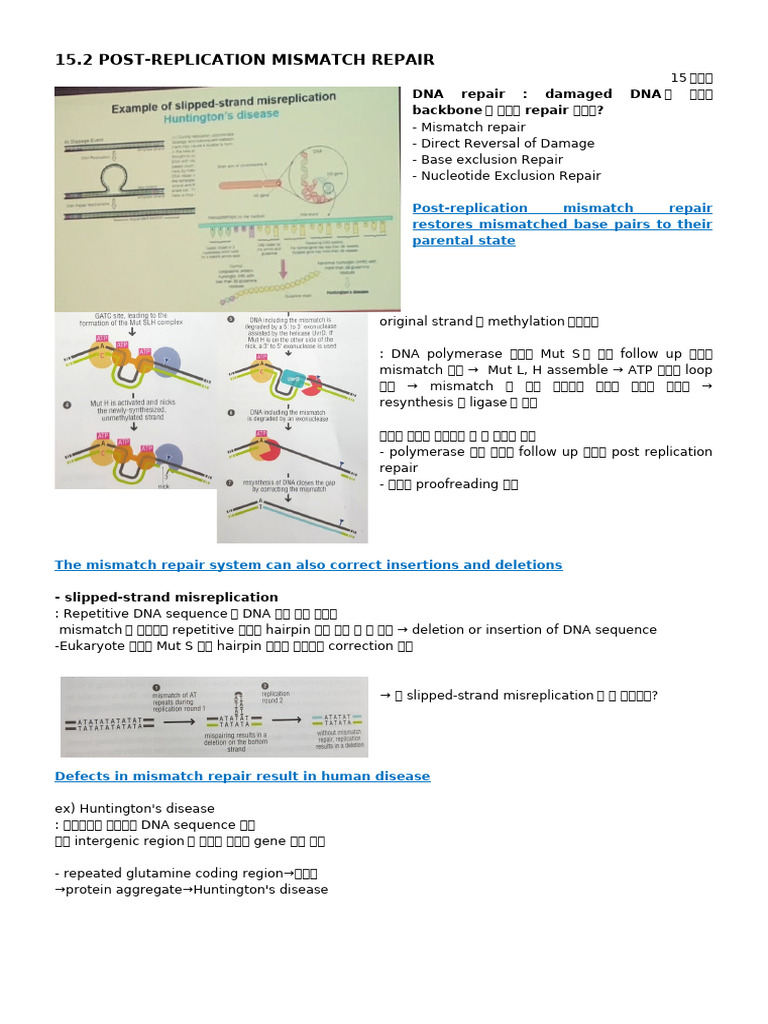 Chapter 15.02-15.04 (15žššļ°æ) | PDF