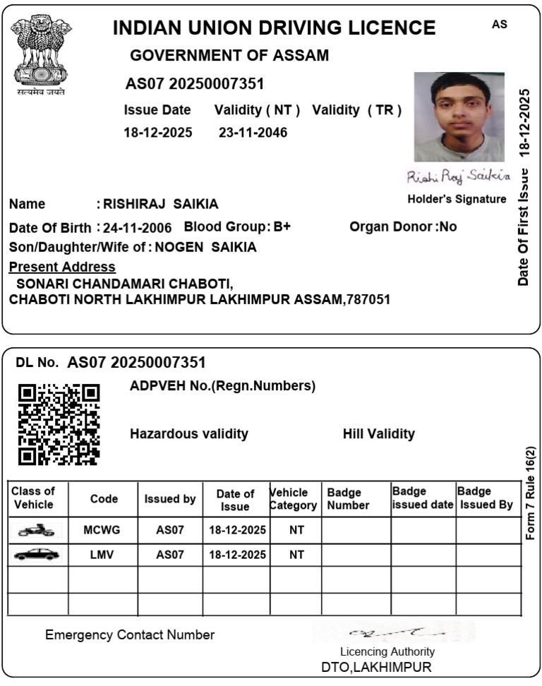 Assam Indian Union Driving Licence | PDF