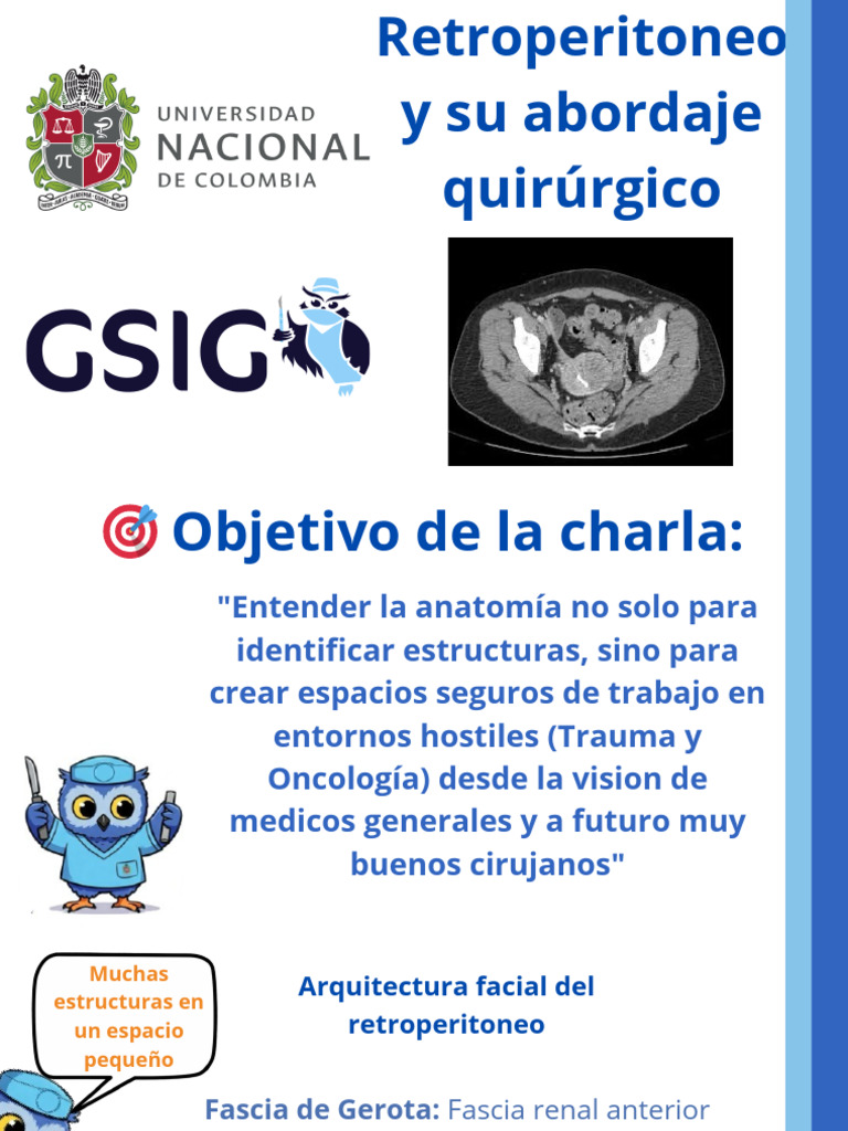 Retroperitoneo | PDF | Abdomen | Angiología