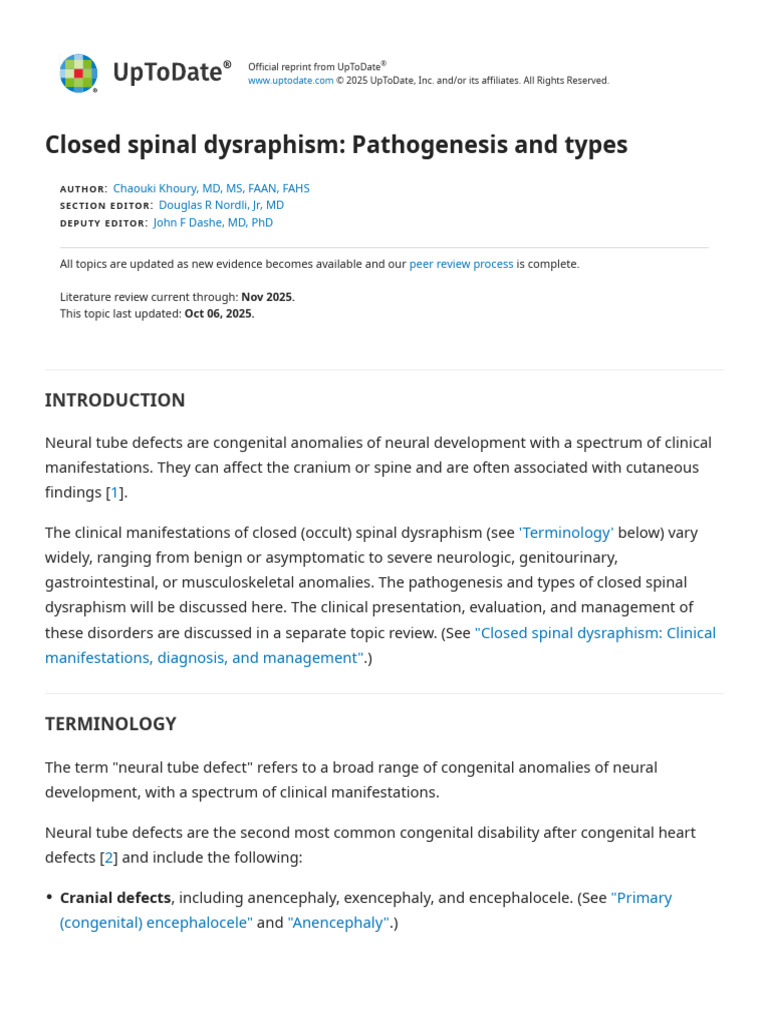 Closed Spinal Dysraphism Overview | PDF | Vertebra | Medical Specialties