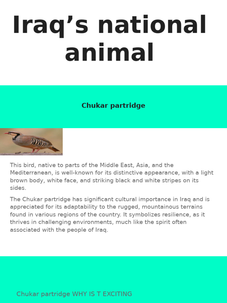 Iraq’s National Animal | PDF