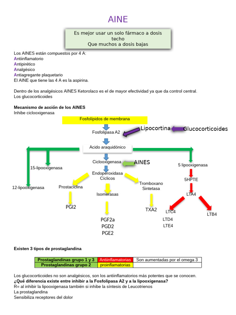 Efectos y Mecanismos de AINES y Glucocorticoides | PDF | Droga anti ...