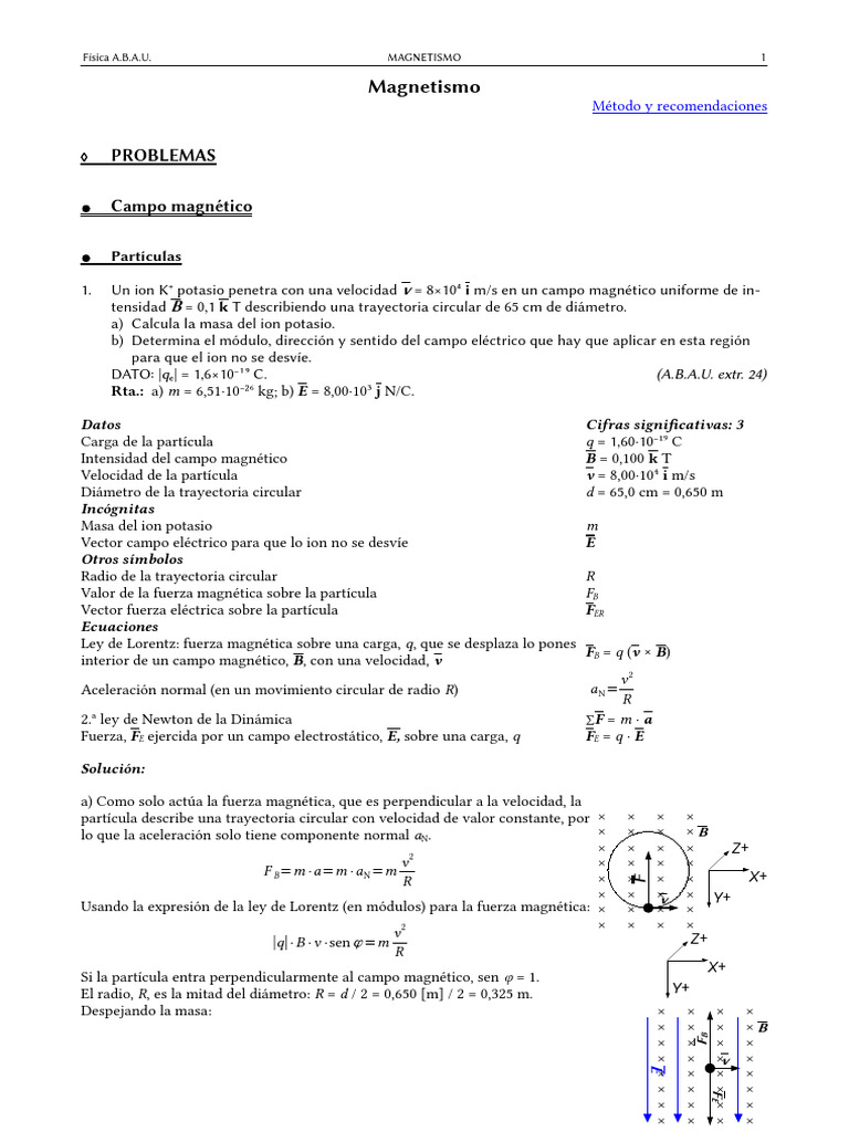 03 Magnetismo ABAU Problemas Resueltos | PDF | Fuerza | Campo eléctrico