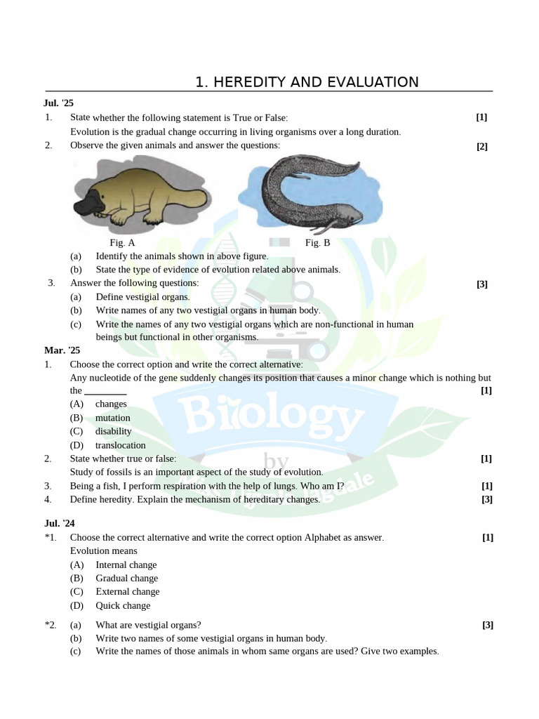 Evolution and Heredity Exam Questions | PDF | Power Station | Mitosis