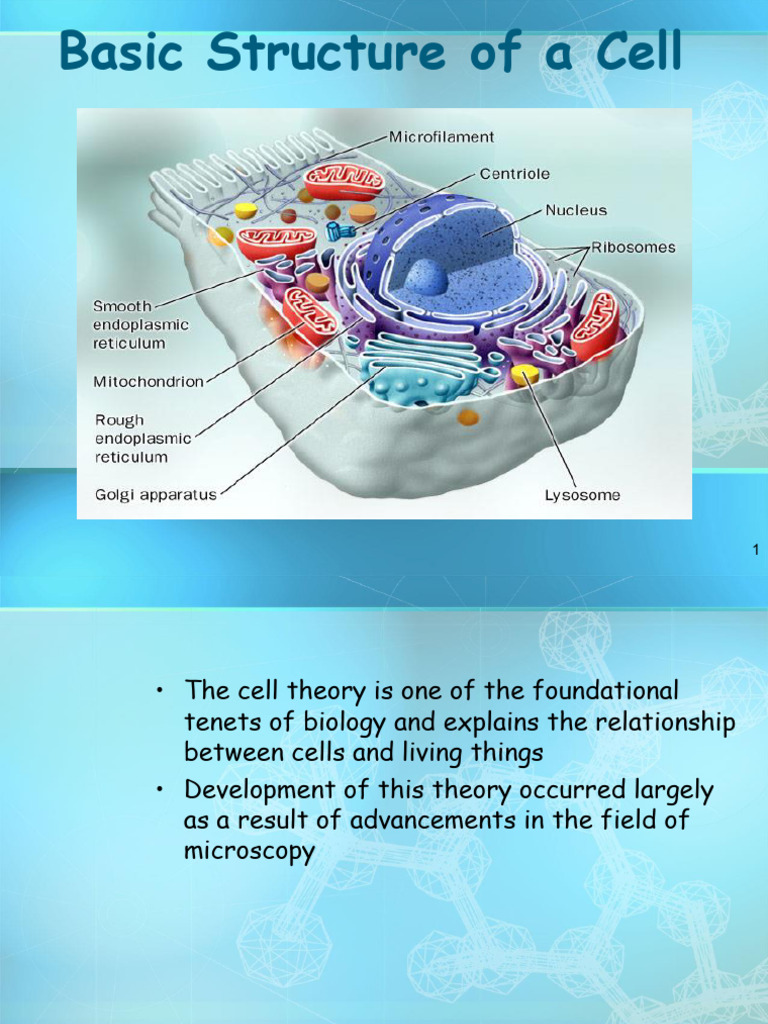 Understanding Cell Structure and Theory | PDF | Endoplasmic Reticulum ...