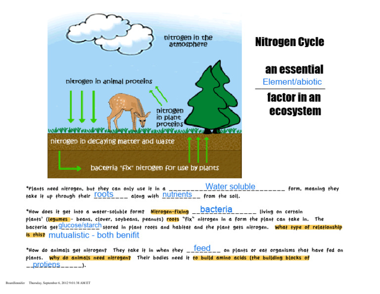 Nitrogen Cycle Copy Student Copy | PDF