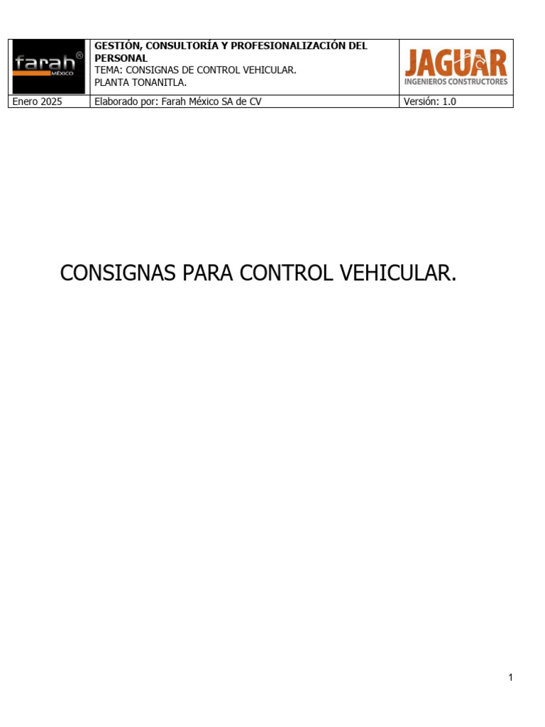 Proceso de Control Vehicular 21012025 | PDF