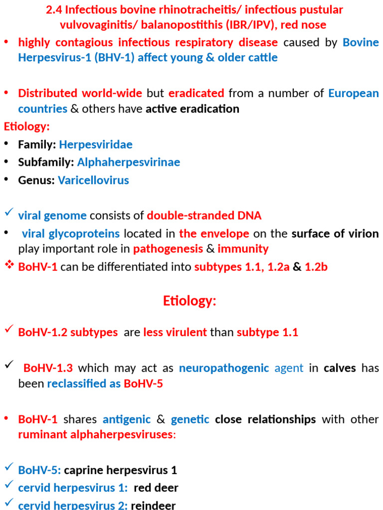 Bovine Herpesvirus-1: IBR/IPV Overview | PDF | Infection | Virus