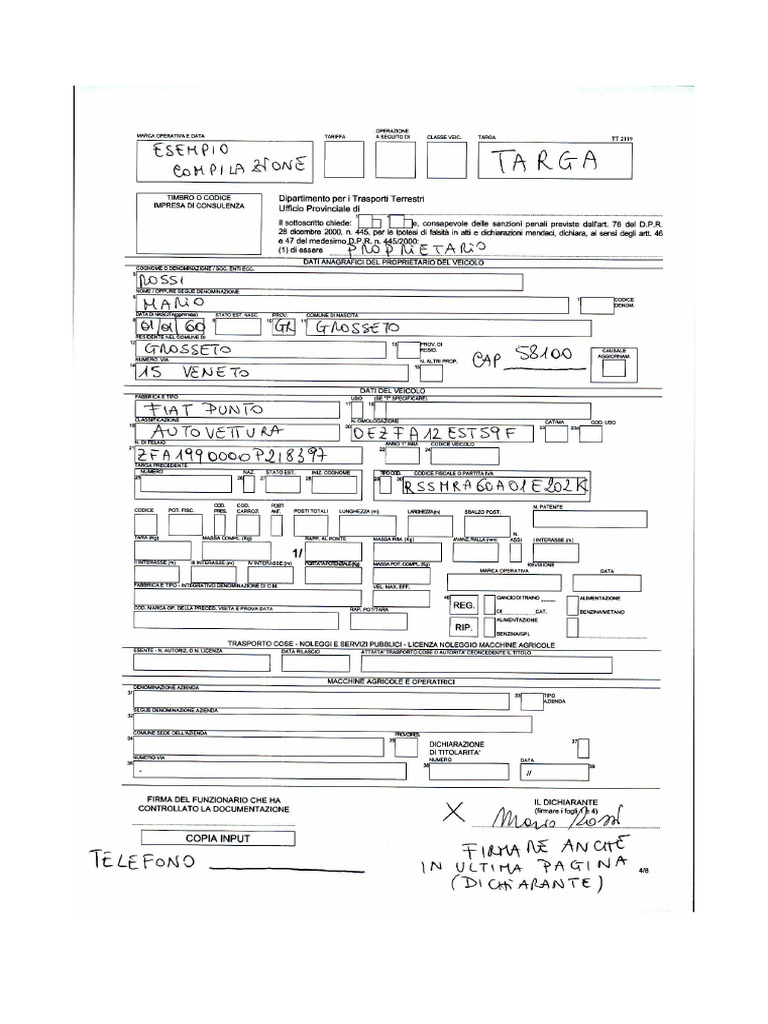 Esempio compilazione | PDF