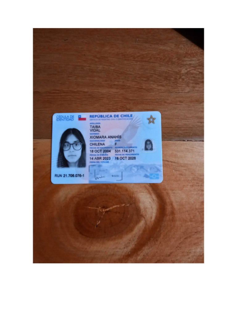 Carnet | PDF