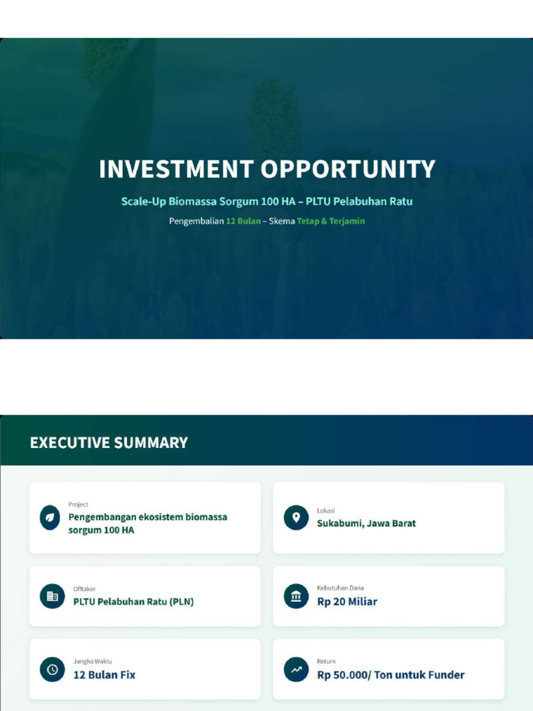 Summary Project Biomass Senu | PDF