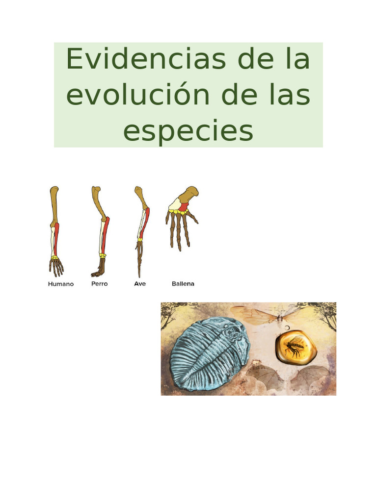 Evidencias de La Evolución de Las Especies | PDF