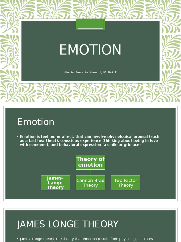 Understanding Emotion Theories Explained | PDF