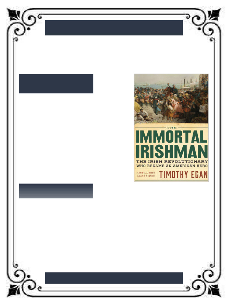The immortal Irishman the Irish revolutionary who became an American ...