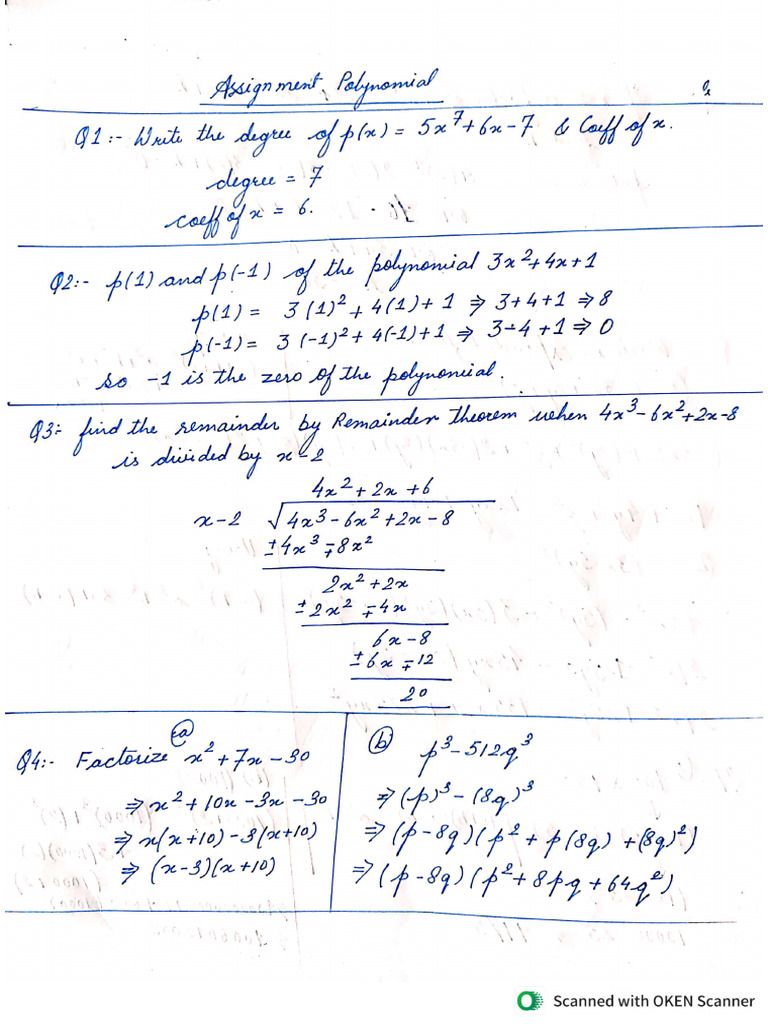 Assignment Poly | PDF