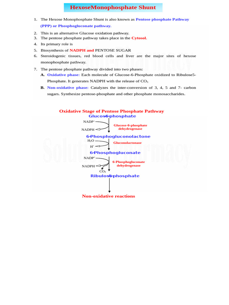 HMP-SHUNT[1] | PDF | Nicotinamide Adenine Dinucleotide Phosphate ...