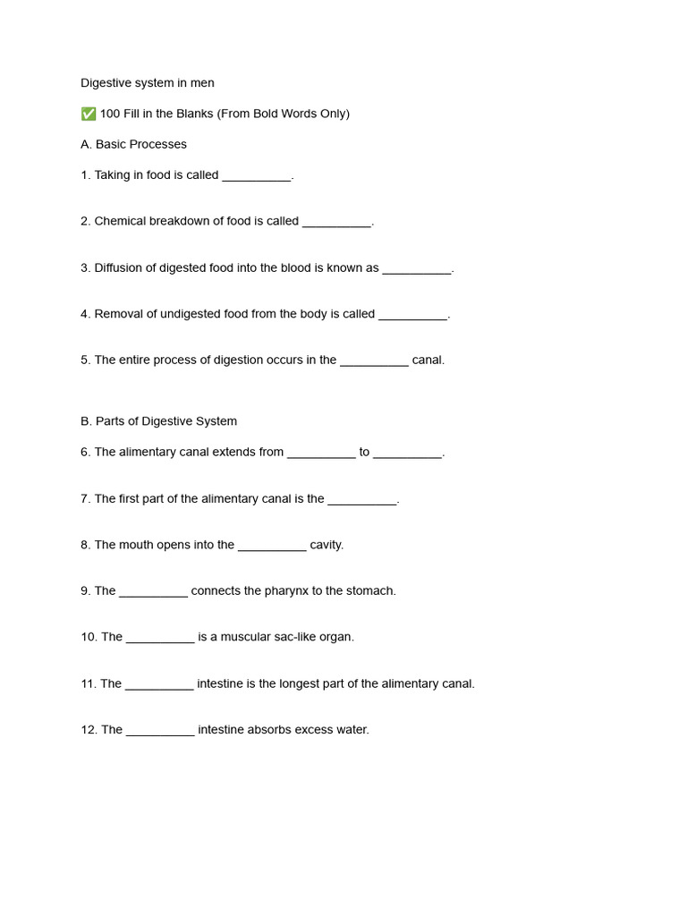 Digestive System in Men | PDF | Digestion | Stomach