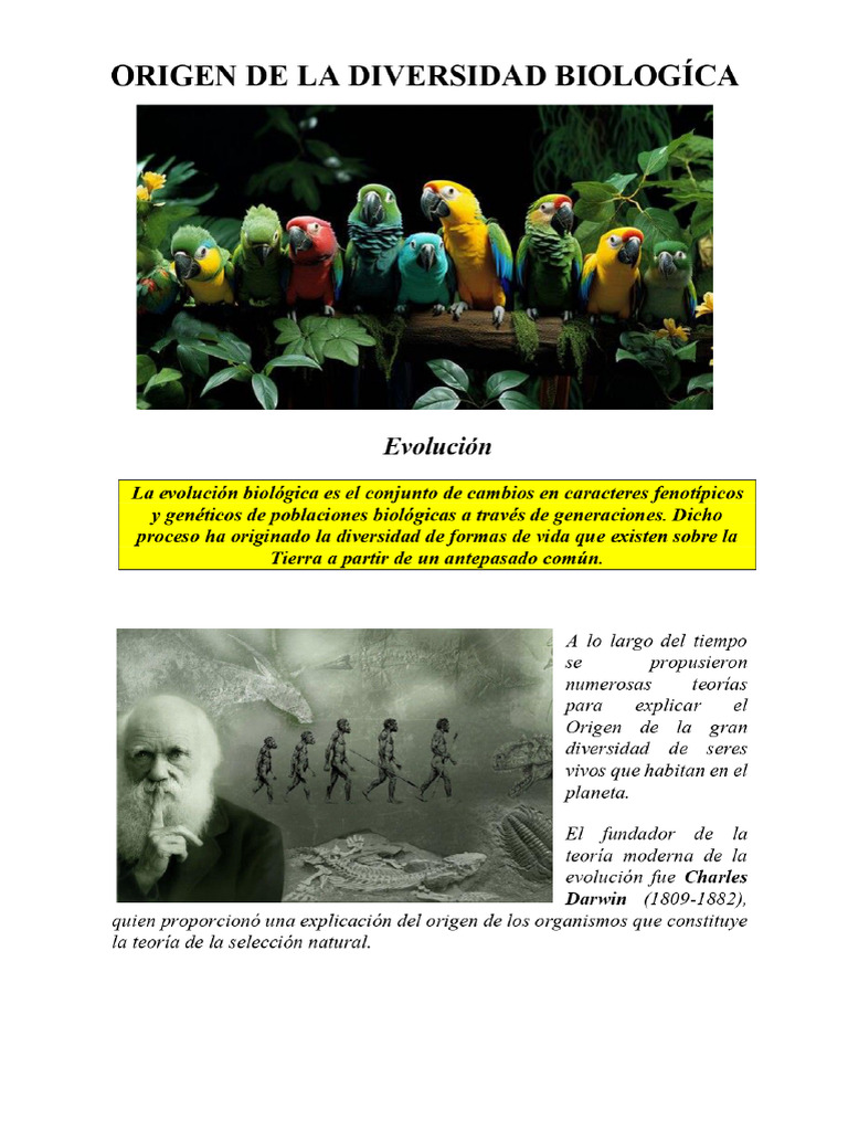 Unidad Origen de La Diversidad Biolog-CA (1) | PDF | Evolución ...