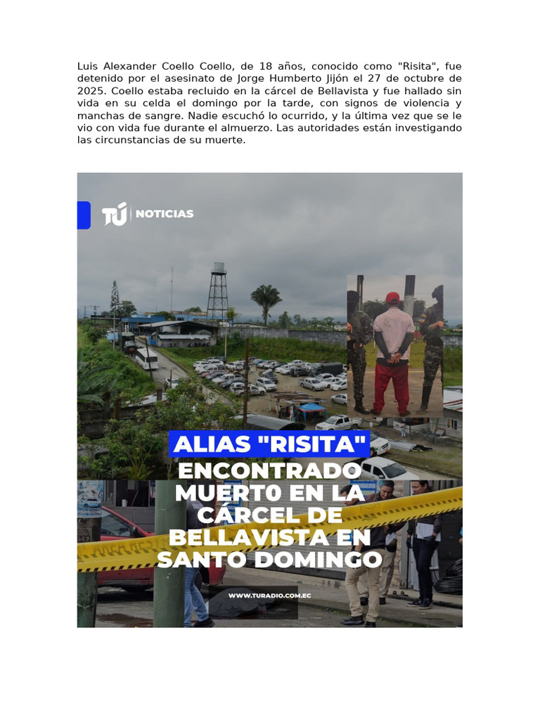 Luis Alexander Coello Coello | PDF | Cumplimiento de la ley | Crimen y ...