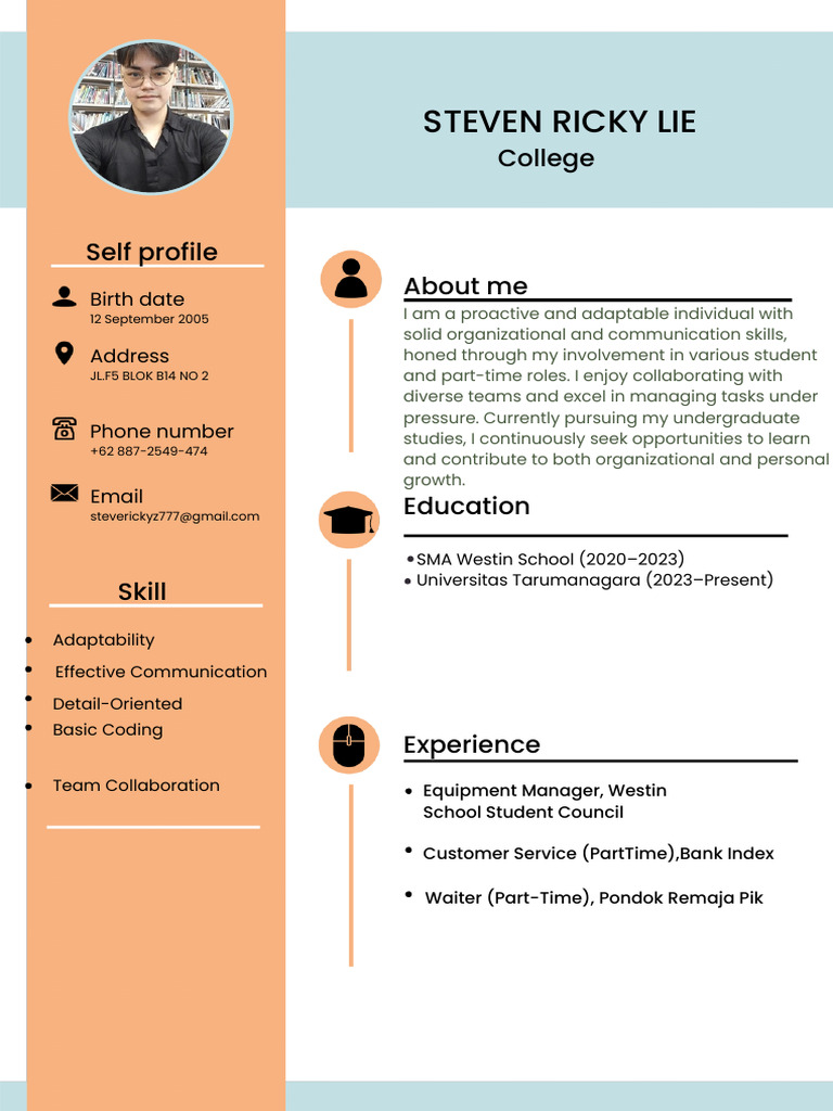 Steven Ricky Lie's Professional Profile | PDF