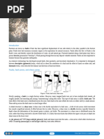 Riedel Shear Model in Fault Geology | PDF | Fault (Geology) | Continuum ...