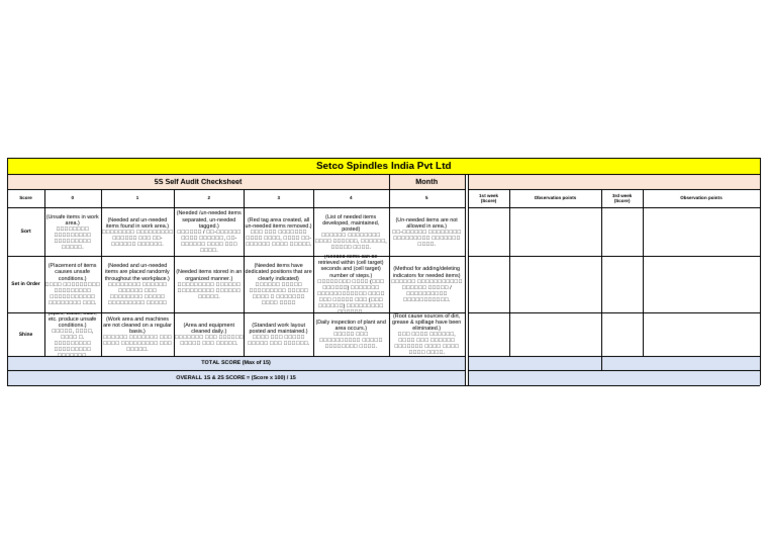 5S Self Audit Sheet | PDF