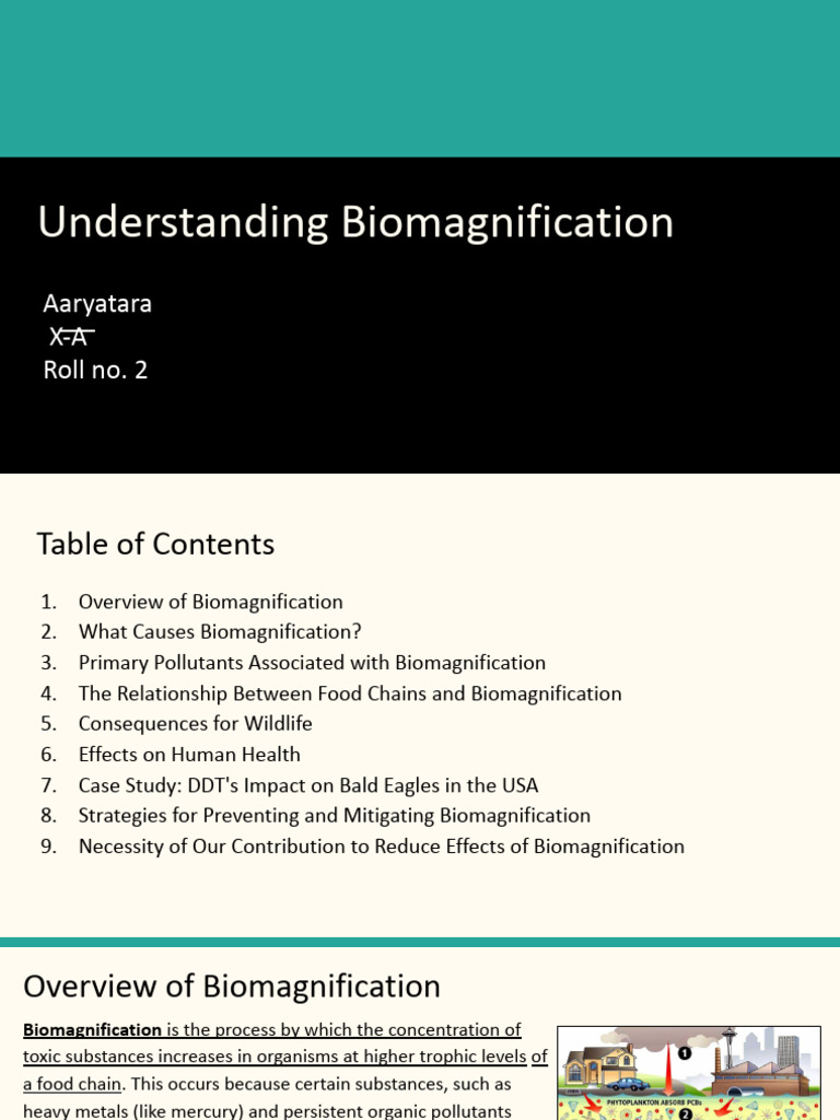 Understanding Biomagnification Effects | PDF | Environmental Issues ...