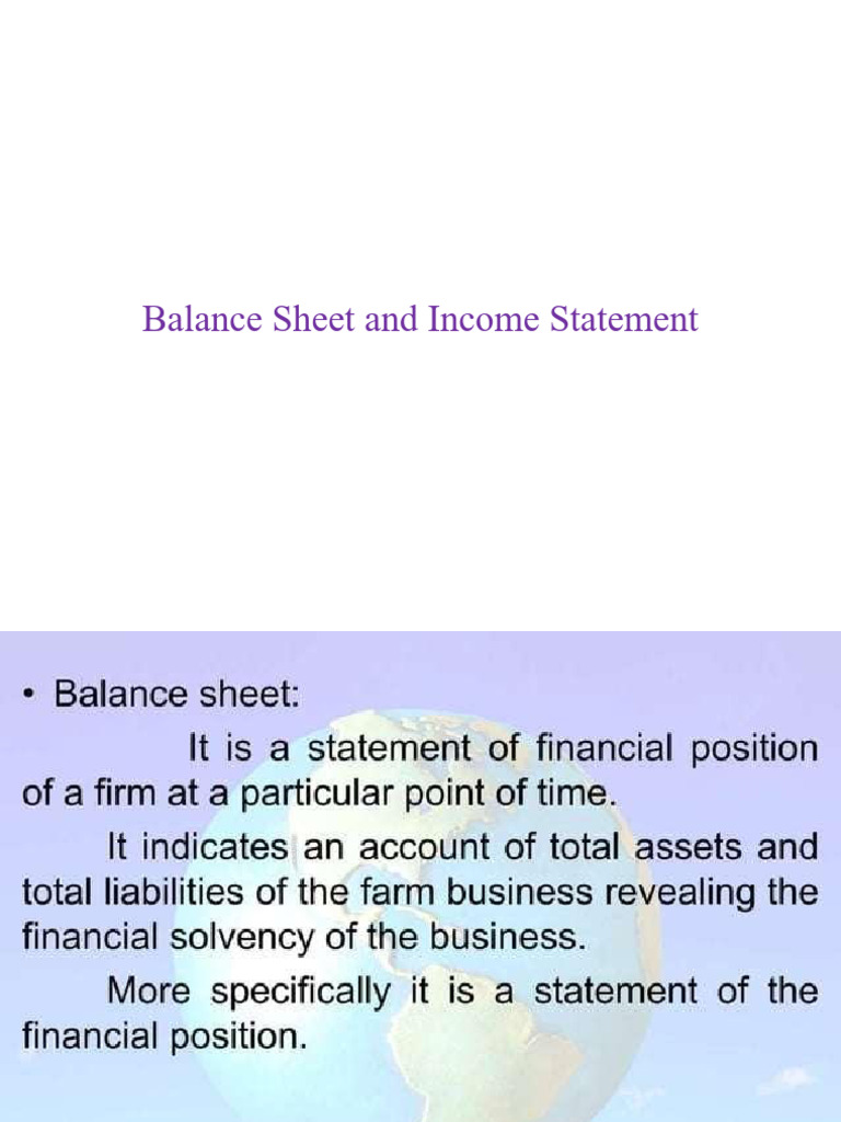 Balance Sheet and Income Statement | PDF