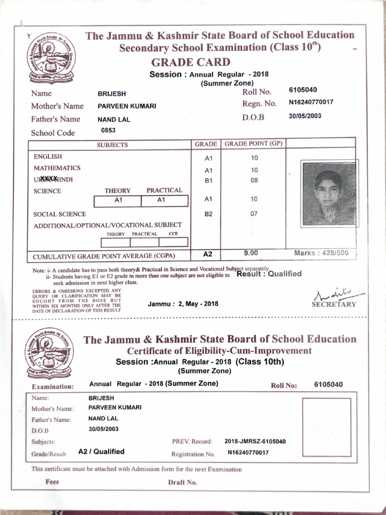 Secondary School Examination (Class 10) | PDF