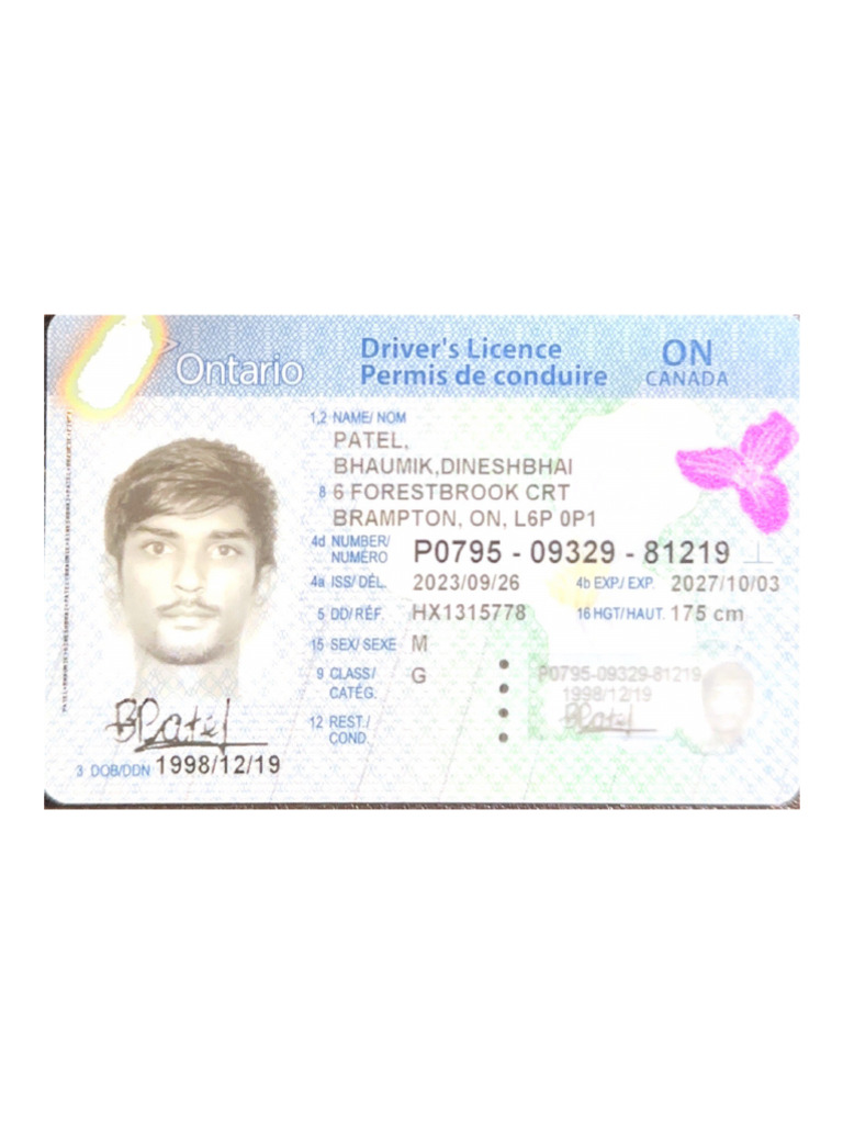 Driver's Licence | PDF