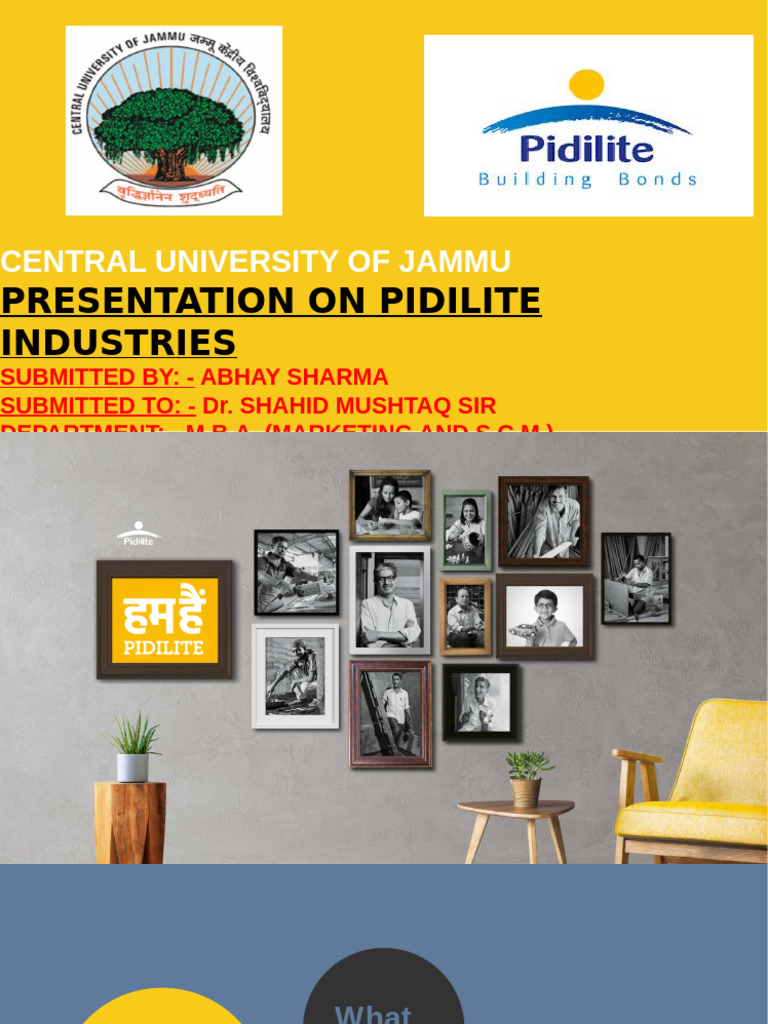 Pidilite Industries Overview and Growth | PDF | Conservation And ...