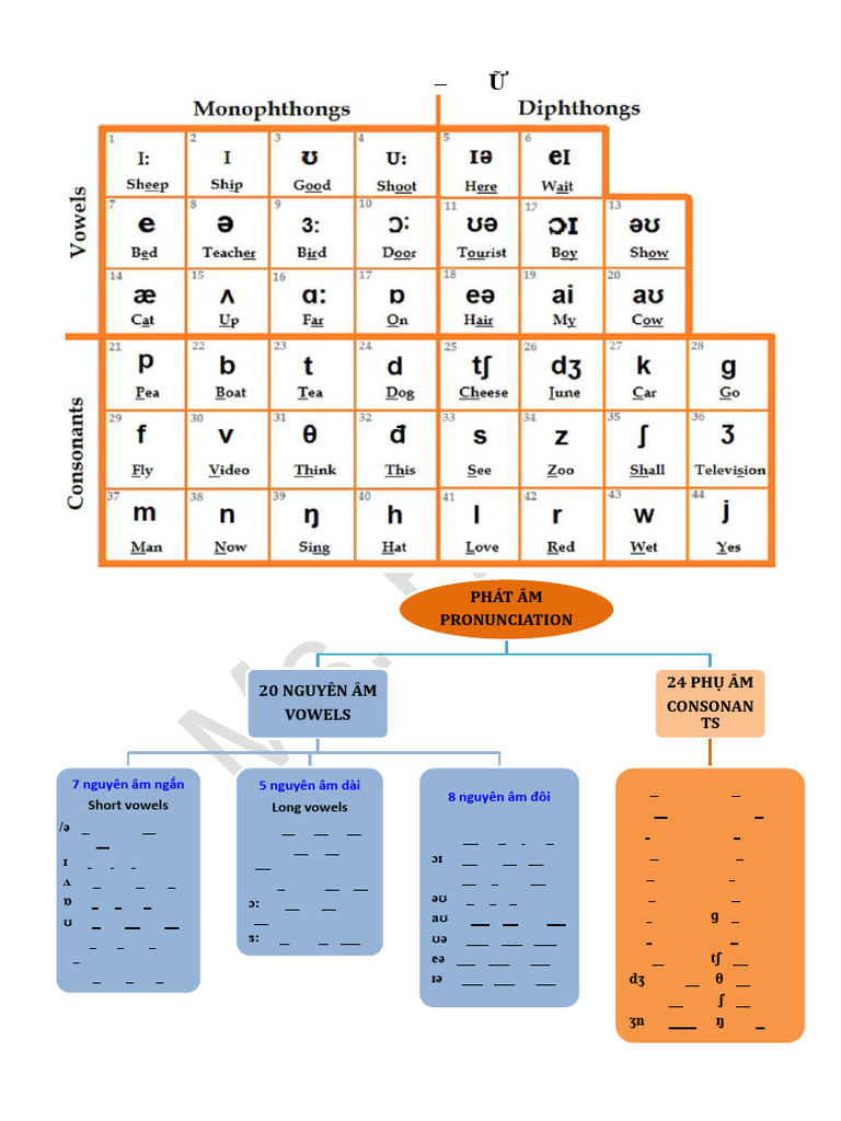 Phonetics & Btap | PDF