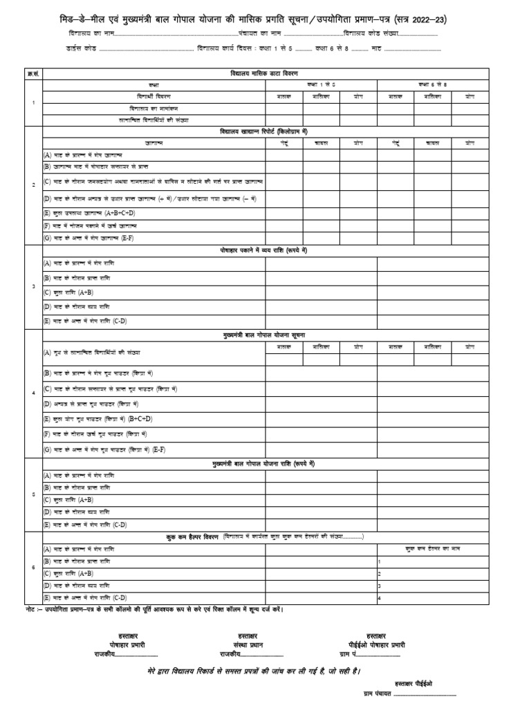New Format MDM | PDF
