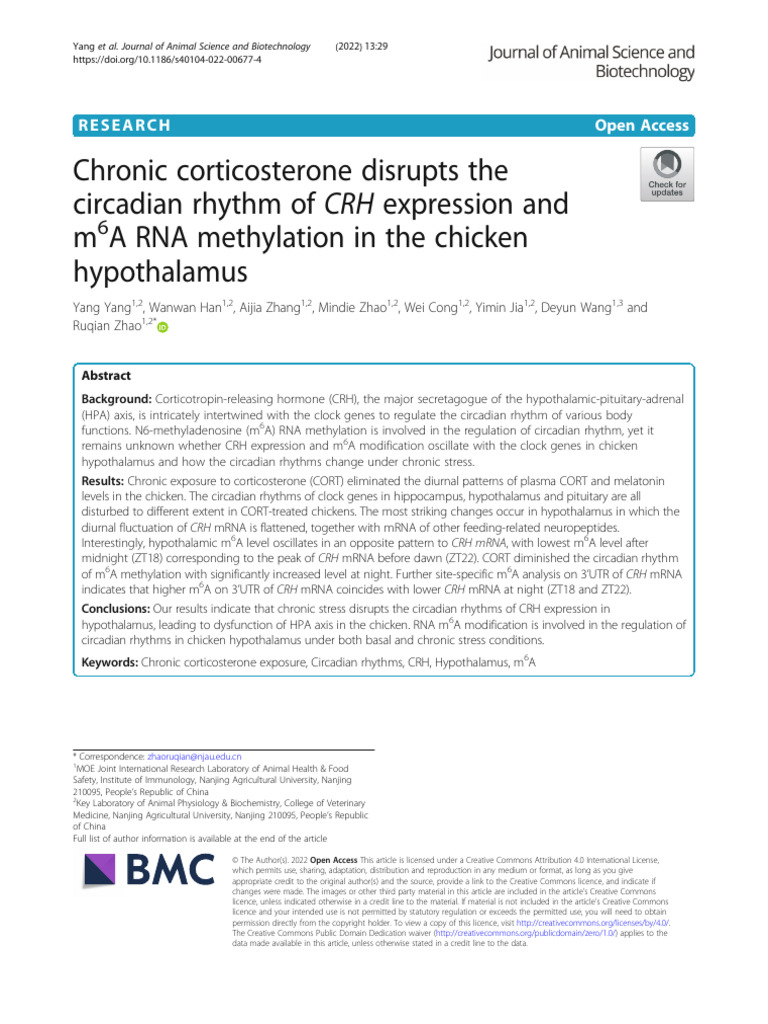 Chronic Corticosterone Disrupts The Circadian Rhythm of CRH Expression ...