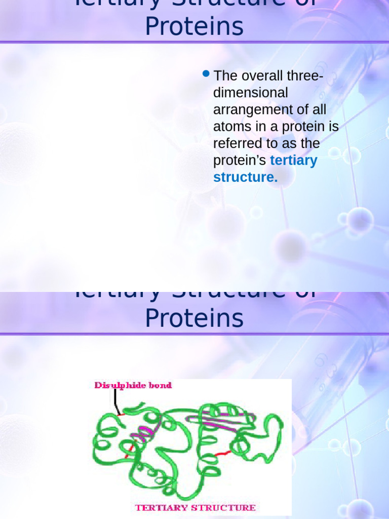 Lesson - 26 - Tertiary Structures of Proteins | PDF