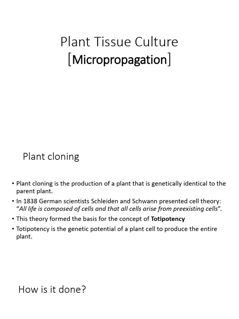 Micropropagation in Plant Tissue Culture | PDF | Botany | Biology