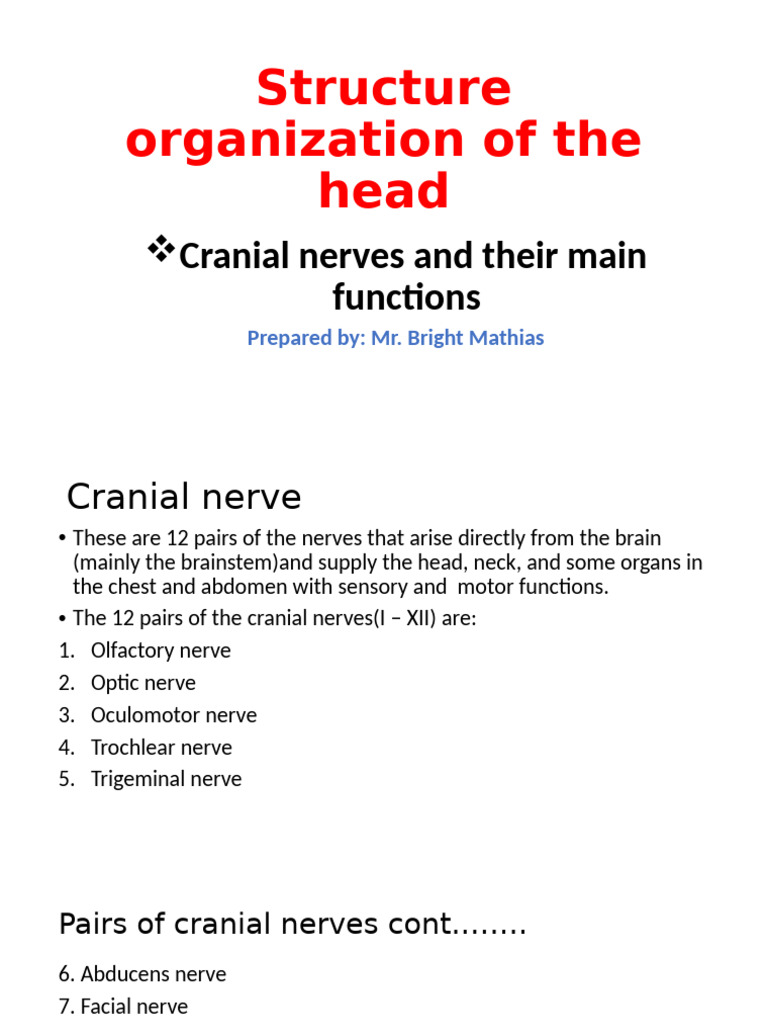 Structure Organization of The Head | PDF | Senses | Neuroscience