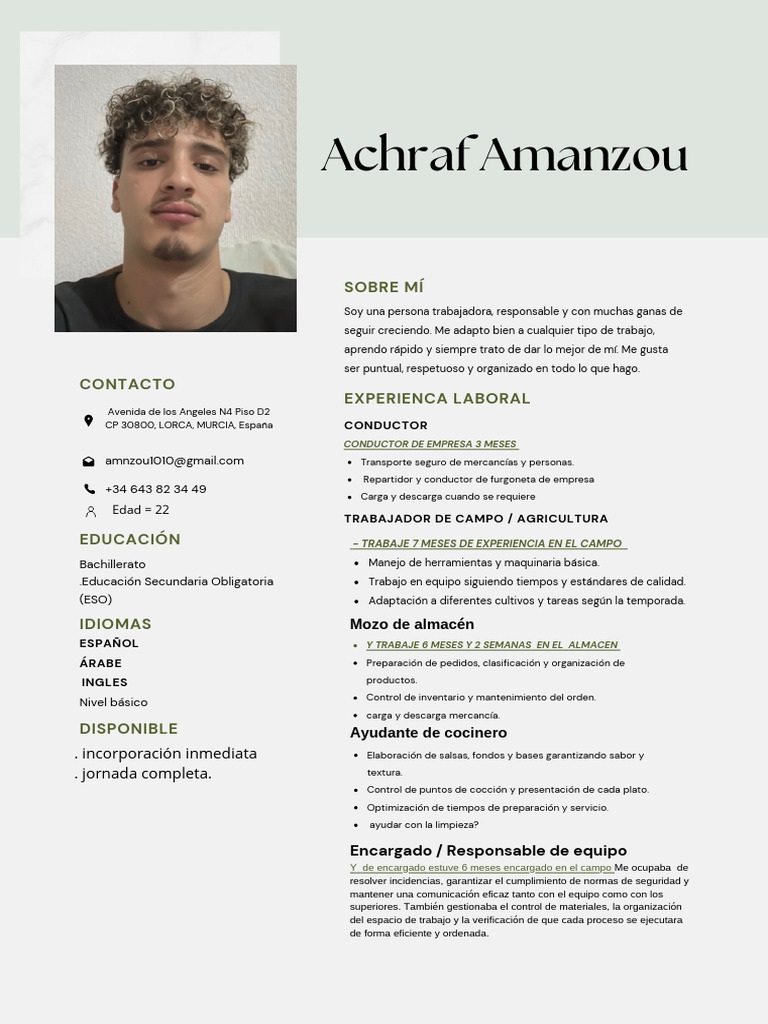 CV Curriculum Vitae Diseño UX Minimalista Beige 4 | PDF | Almacén
