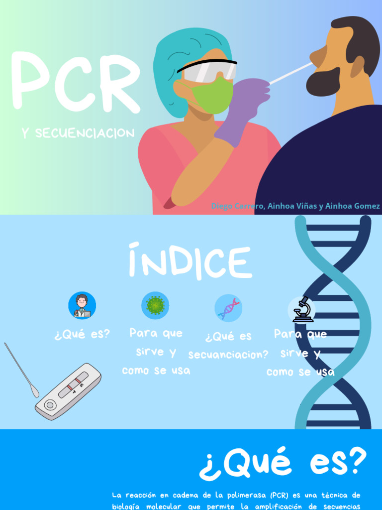 PCR y Secuenciación: Técnicas Esenciales | PDF | Reacción en cadena de ...