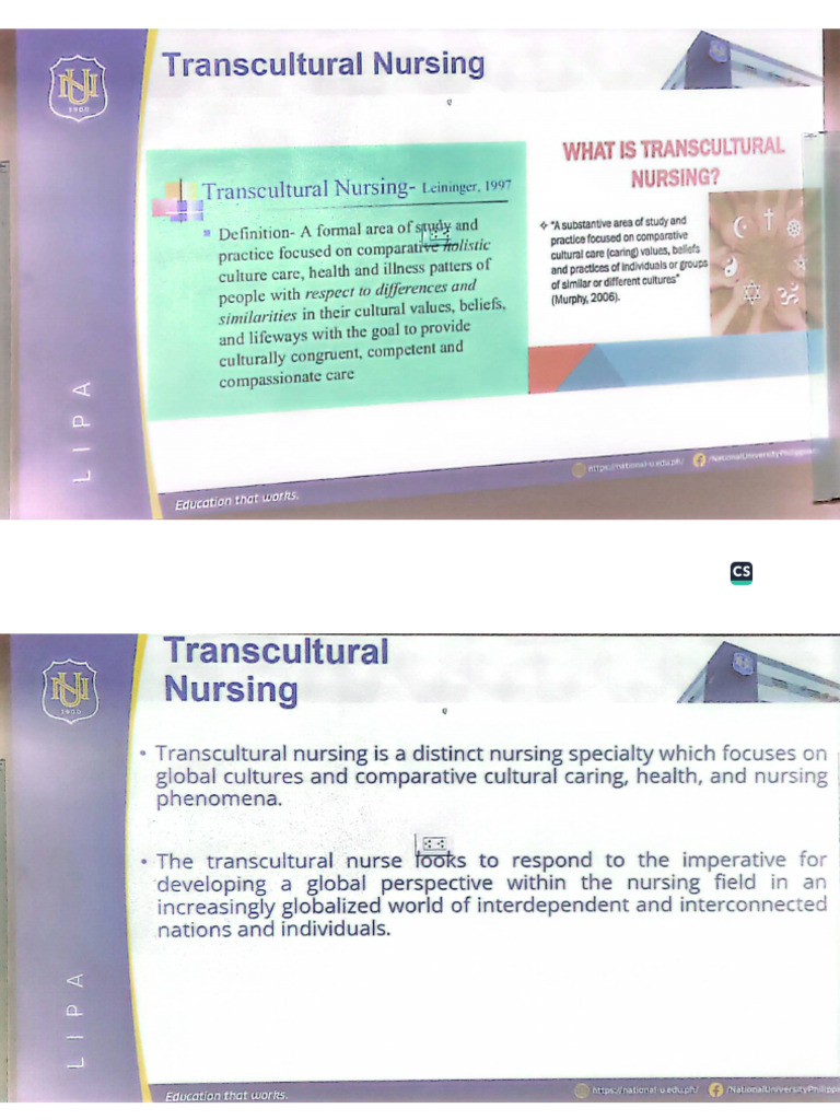Transcultural Nursing | PDF