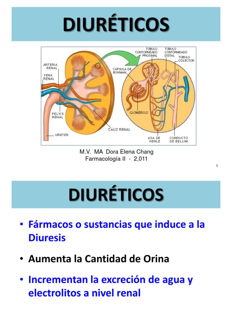 Diuréticos COMPLETO | PDF | Farmacología | Drogas