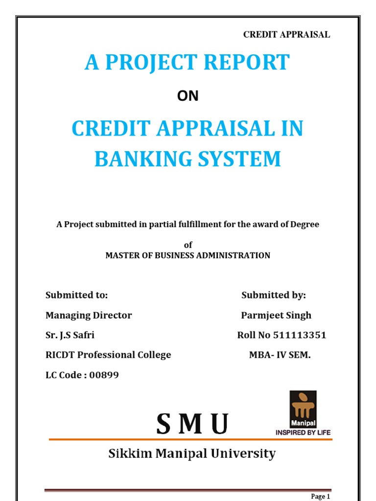 A Project Report On Credit Appraisal | PDF | Banks | Financial Services
