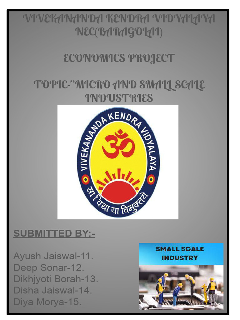Economics Project Work | PDF | Economic Growth | Entrepreneurship