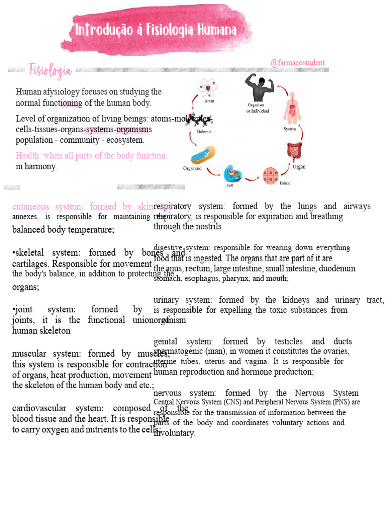 01 Introduction To Human Physiology and Homeostasis | PDF | Human Body ...