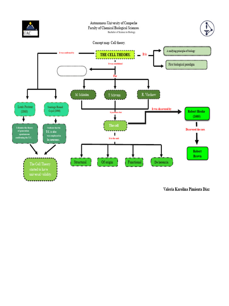 Conceptual Map of Cell Theory | PDF | Science | Life Sciences