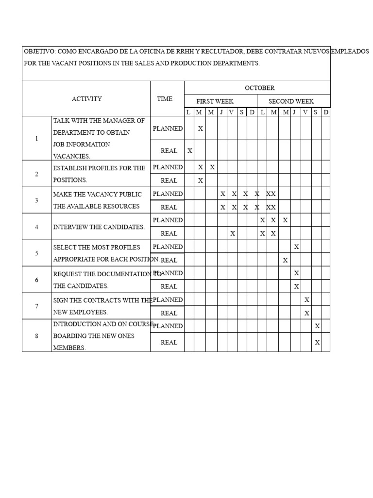 Example of Individual Work Plan | PDF