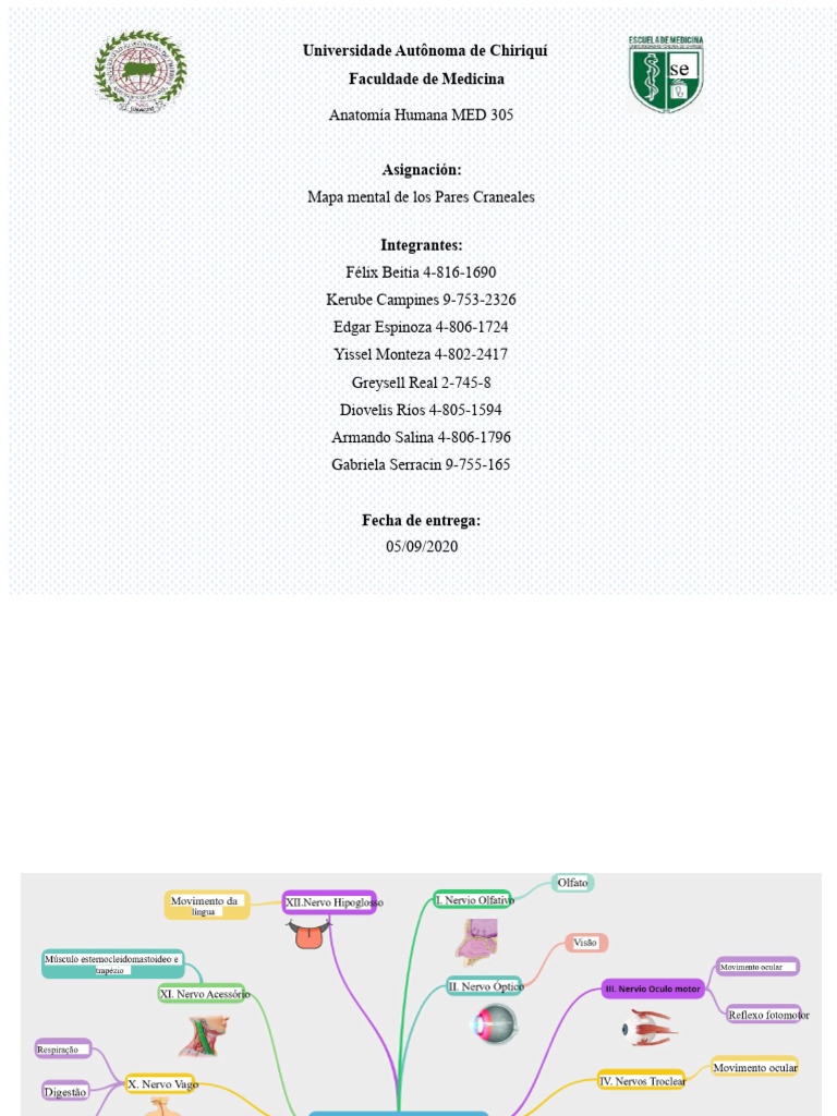 Mapa Mental- Pares Cranianos | PDF
