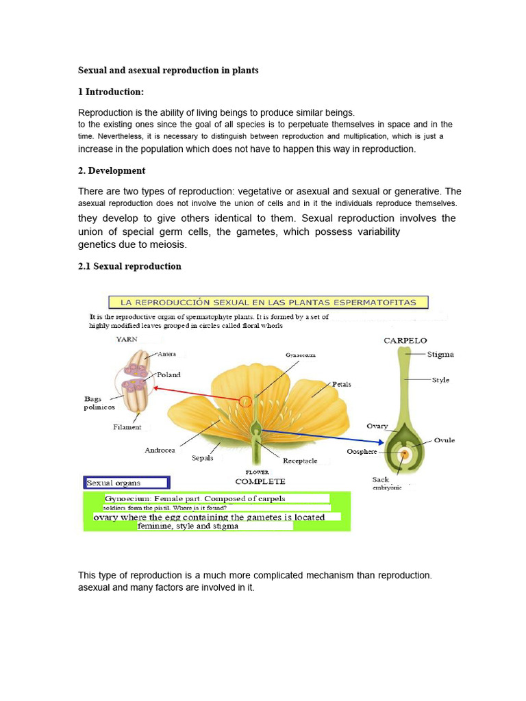 Plant Reproduction: Sexual vs Asexual | PDF | Plant Reproduction ...
